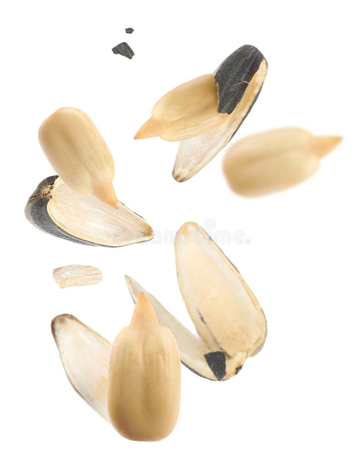 Sunflower Seeds with Hull Flying on White Background Stock Photo ...