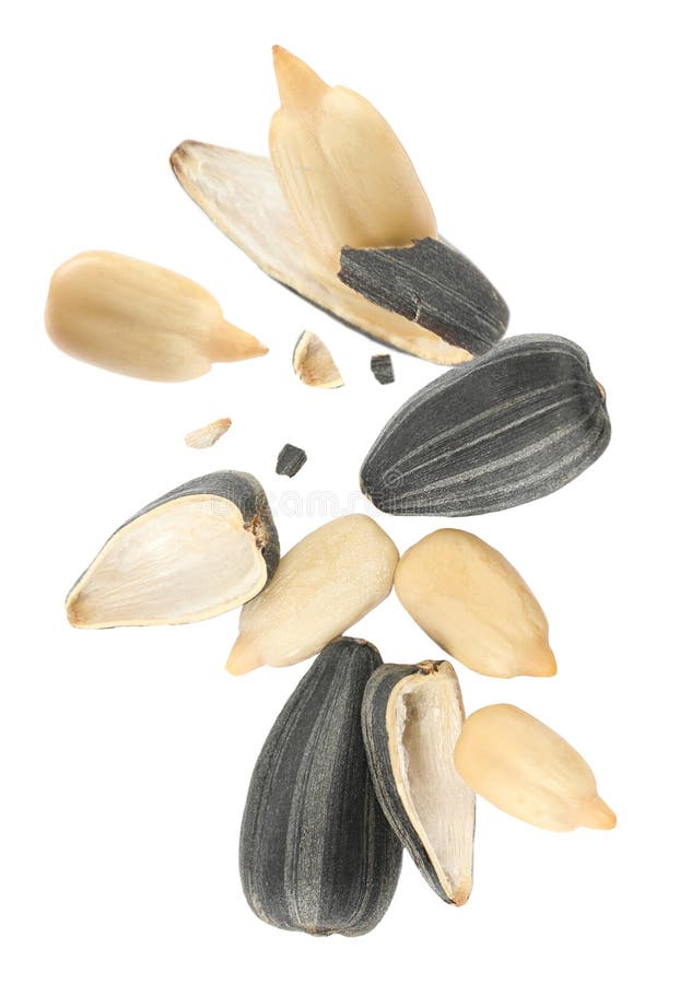 Sunflower Seeds with Hull Flying on White Background Stock Photo ...