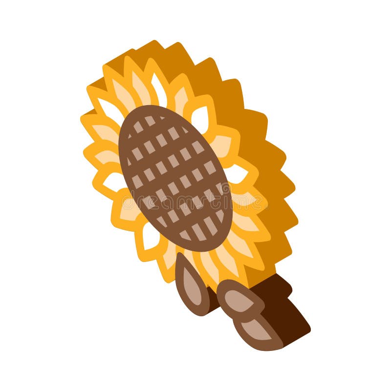 Sunflower Seeds Icon Vector Outline Illustration Stock Vector ... Sunflower Seeds Icon Vector Outline Illustration Stock Vector ...