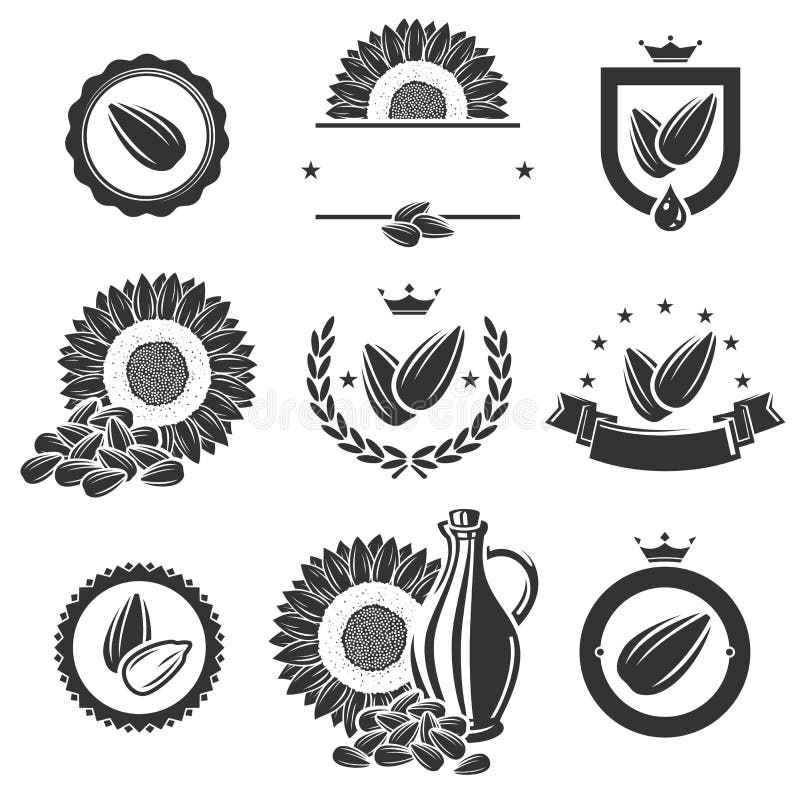 Sunflower Seeds Label and Elements Set. Vector Stock Vector ...
