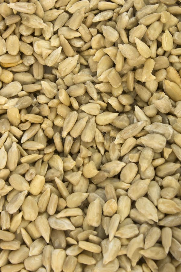 Sunflower Seeds stock photo. Image of seeds, hulled, food - 90576494