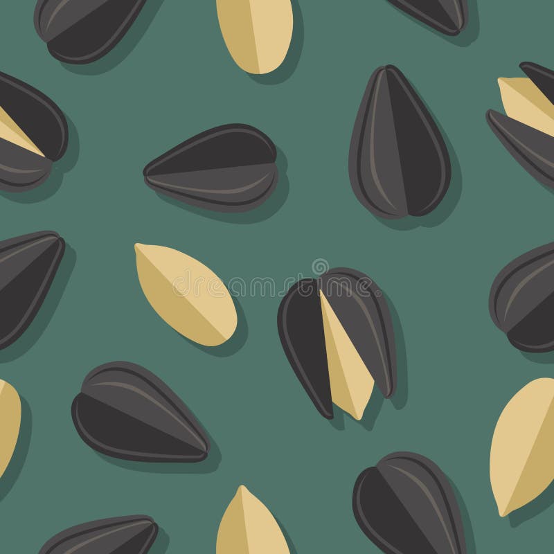 Sunflower Seeds Seamless Pattern Stock Vector - Illustration of crop ...