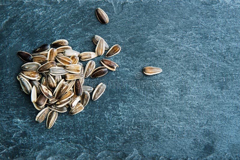 Sunflower Seeds on Stone Substrate Stock Image - Image of unpeeled ...
