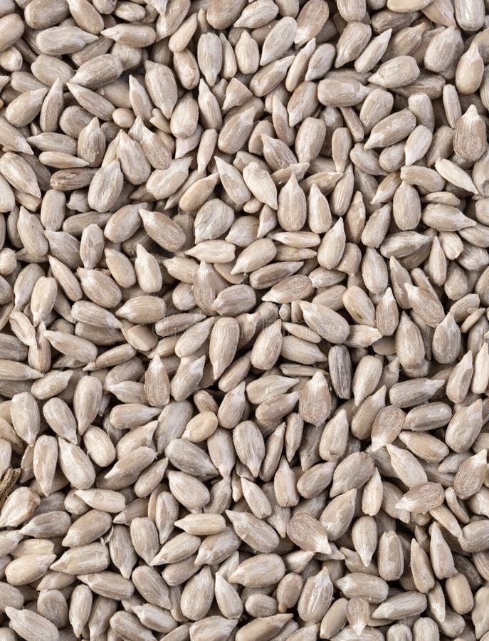 Sunflower Seeds Texture stock image. Image of grain - 129951135