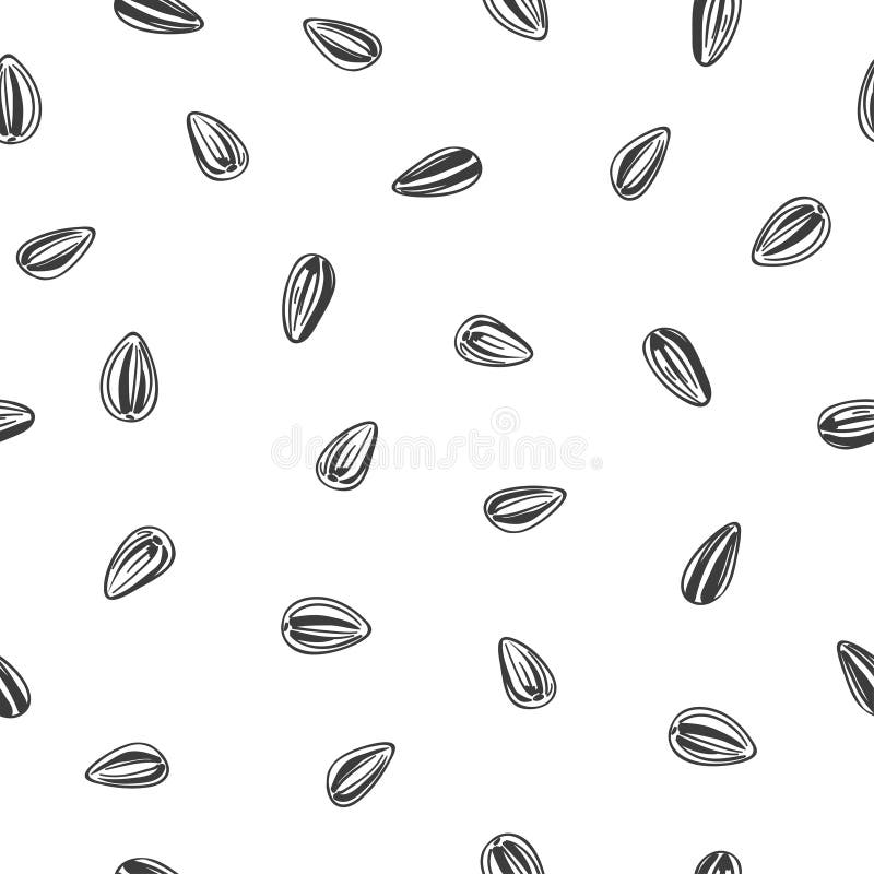 Sunflower Seeds Pattern Vector Stock Illustrations – 1,038 Sunflower ...