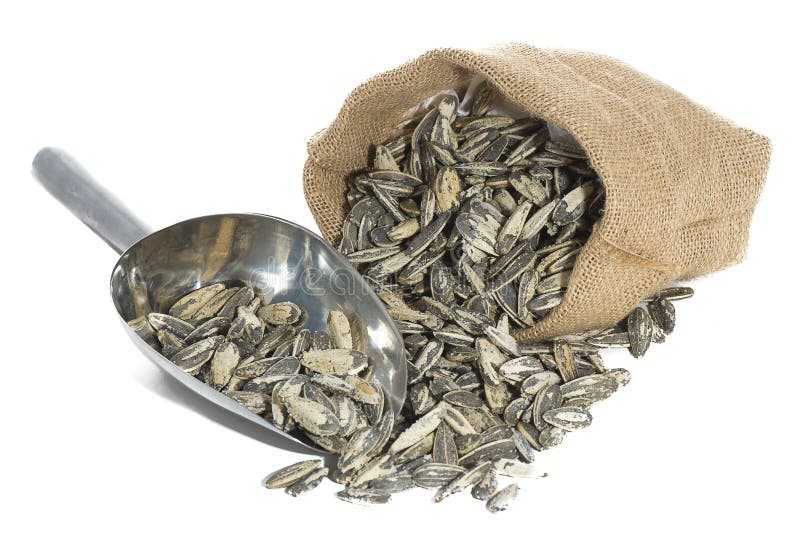 Pipas salted sunflower stock photo. Image of food, growth - 59694038
