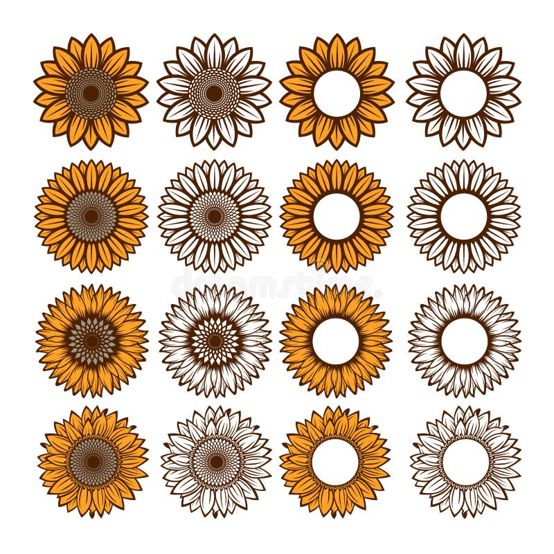 Sunflower stock vector. Illustration of flora, template - 183378399
