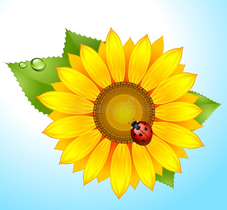 Single Red Sunflower Stock Illustrations – 700 Single Red Sunflower ...