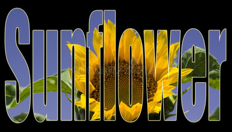 Stock Photos and Royalty-Free Images by Dreamstime