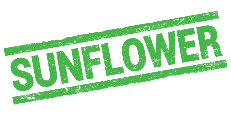 SUNFLOWER Text on Green Rectangle Stamp Sign Stock Illustration ...