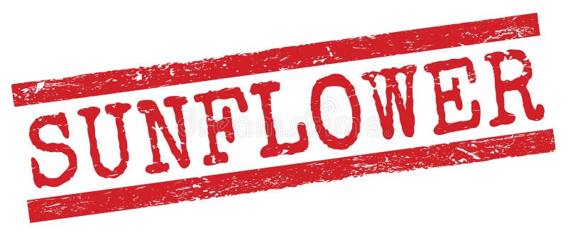 SUNFLOWER Text on Red Lines Stamp Sign Stock Illustration ...