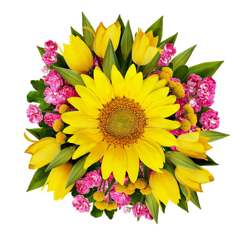 636 Tulips Sunflower Bouquet Stock Photos - Free & Royalty-Free Stock ...