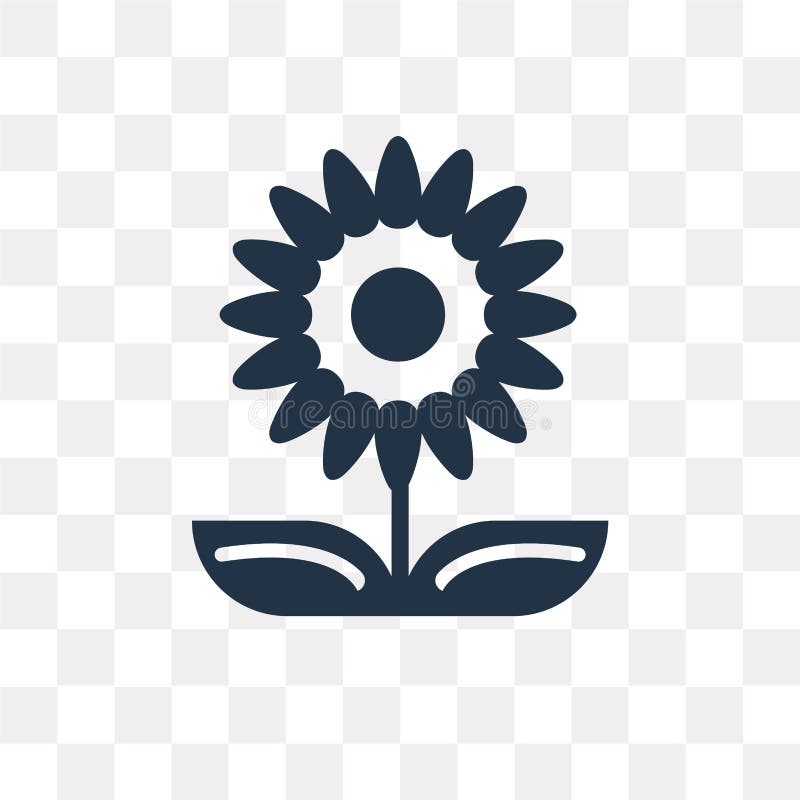 Sunflower Vector Icon Isolated on Transparent Background, Sunflower ...
