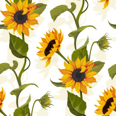 Sunflower Vector Seamless Pattern Floral Texture on Bright Background ...