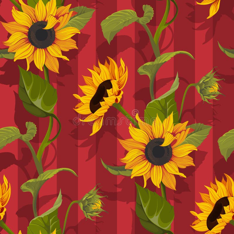 Sunflower Vector Seamless Pattern Floral Texture on Black Background ...