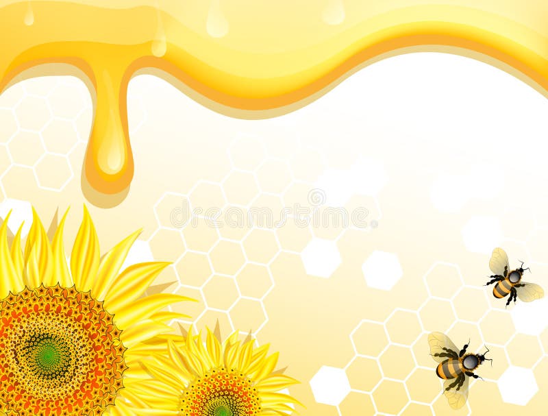Sunflowers And Bees On Honey Background Stock Vector Illustration Of