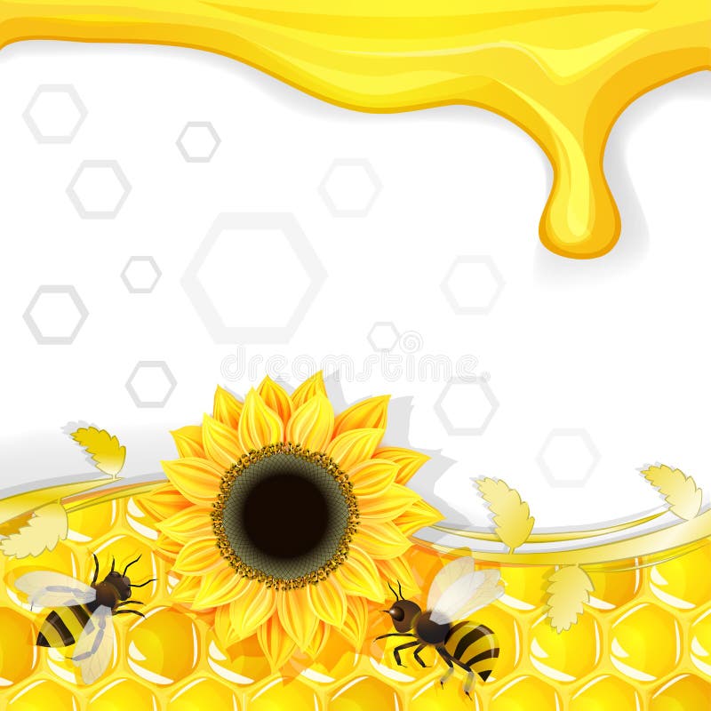 Sunflowers And Bees Pattern Over Honeycombs Stock Vector Illustration