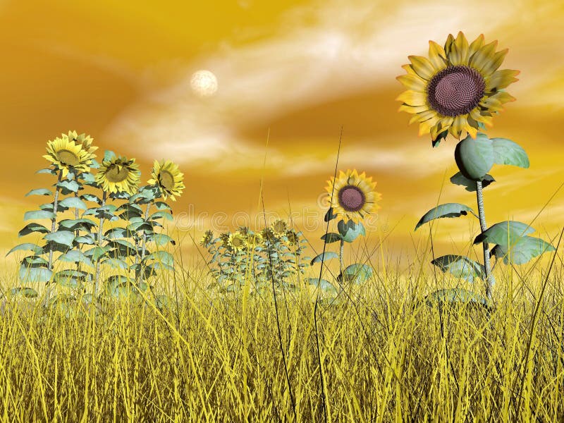Sunflowers - 3D render stock illustration. Illustration of field - 34359070