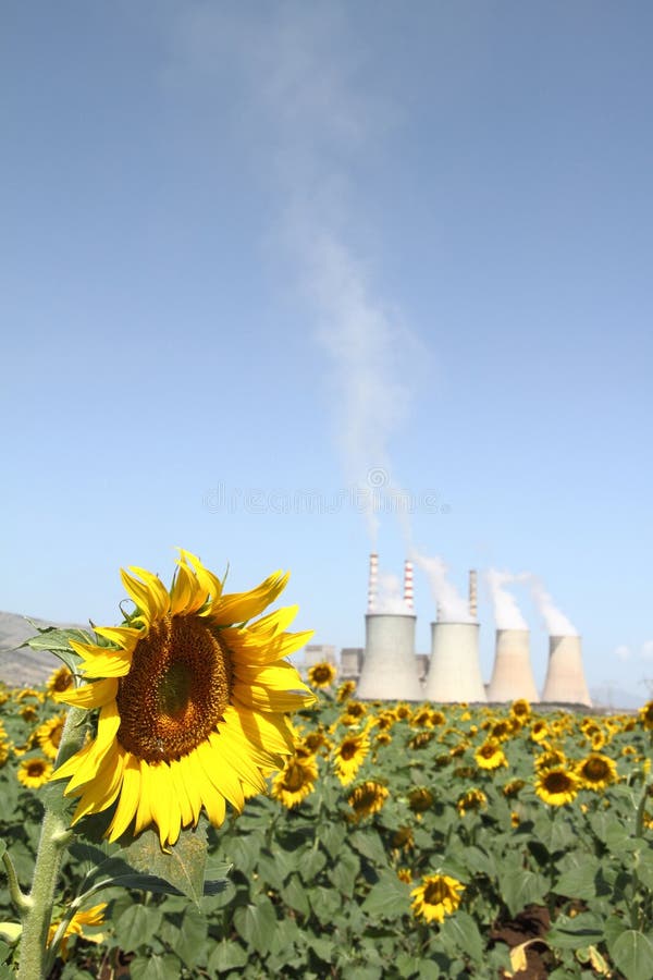 Sunflowers and factory stock image. Image of energy, heat - 20471437