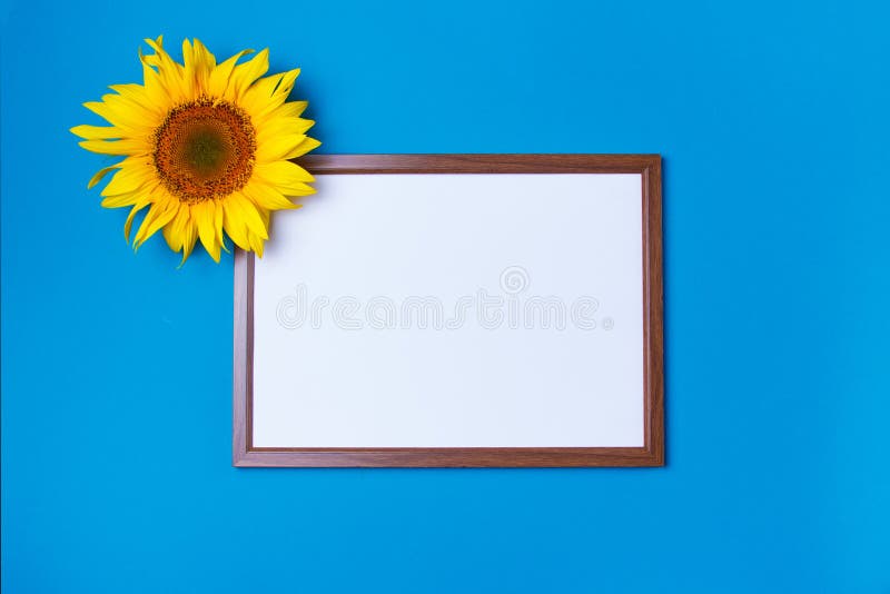 Sunflowers Flowers on Blue Background, Copy Space on Empty Paper Note ...