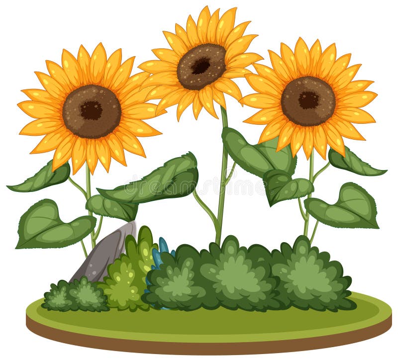 Sunflowers Growing in Lush Greenery Stock Vector - Illustration of ...