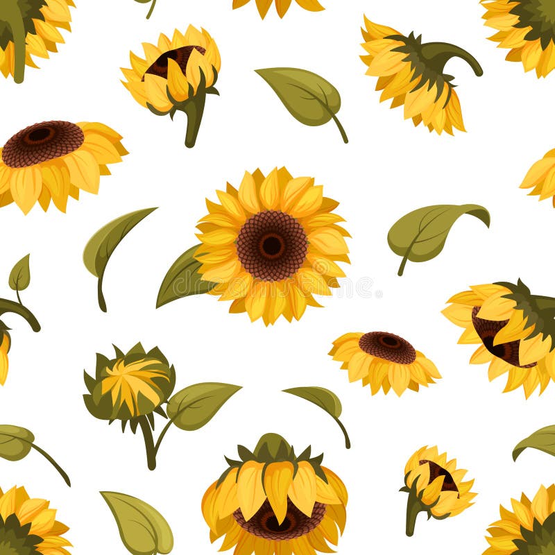 Sunflowers Pattern. Seamless Decoration with Sunflowers Botanical Illustration for Textile ...