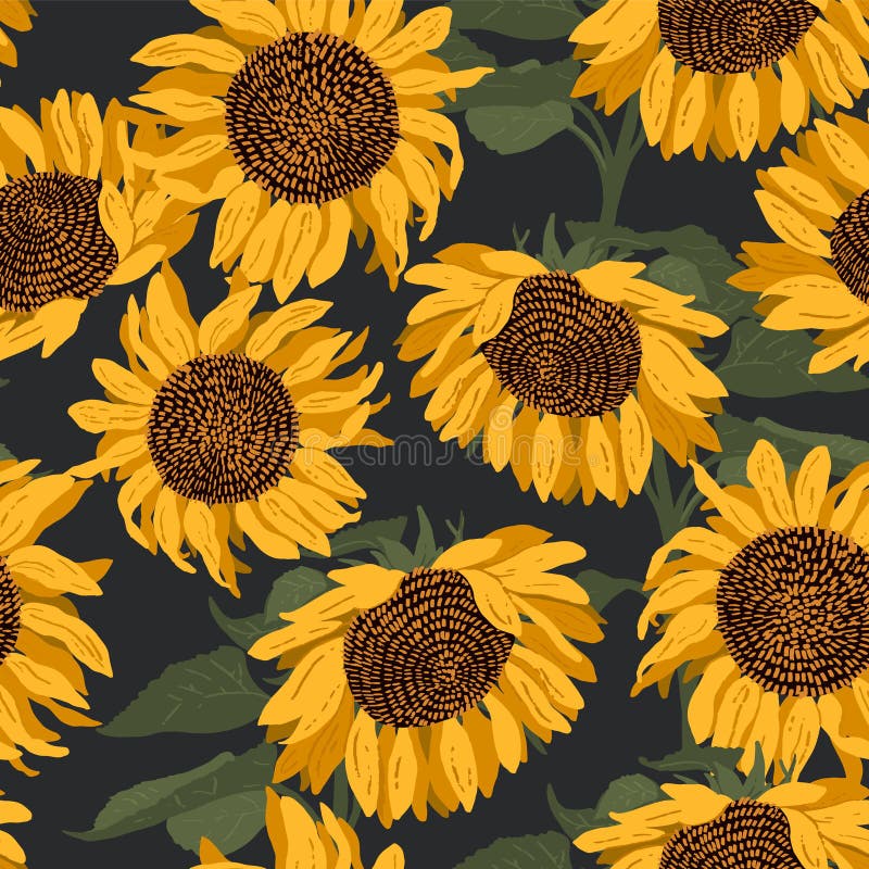 Sunflowers Seamless Pattern. Stock Illustration - Illustration of print ...