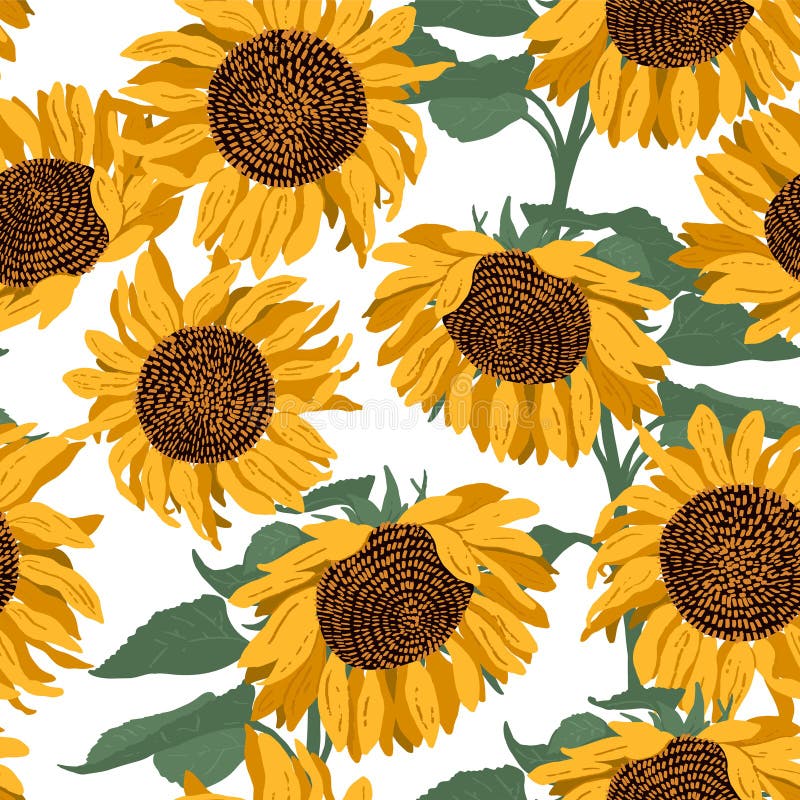 Sunflowers Seamless Pattern. Stock Vector - Illustration of garden ...