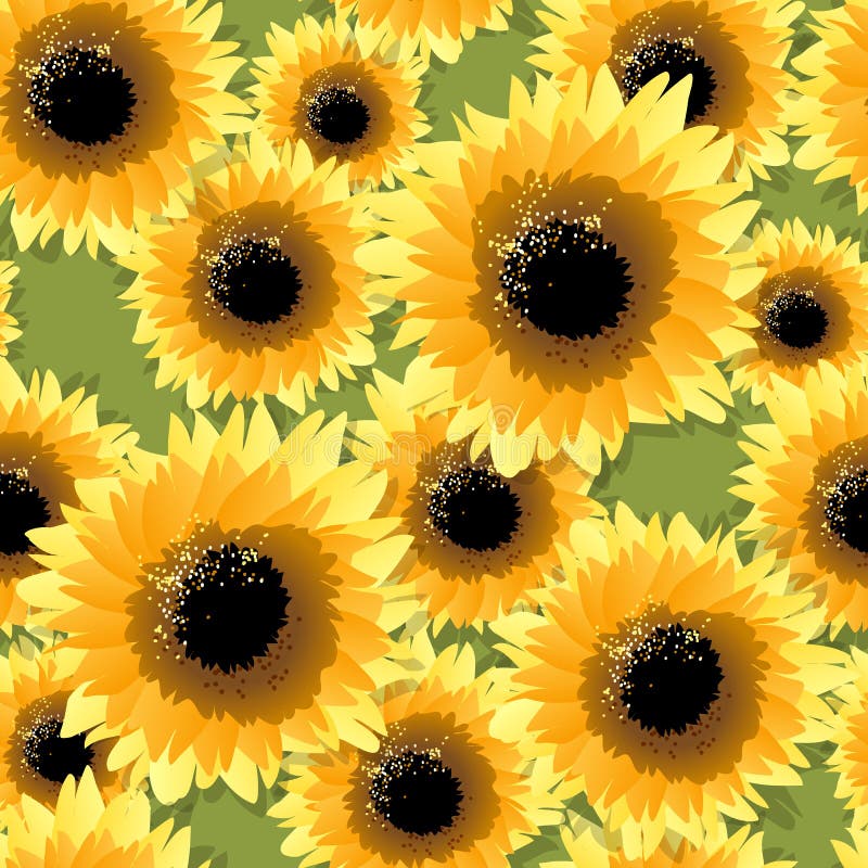 Sunflowers Seamless Pattern Stock Vector - Illustration of decor, leaf ...