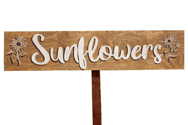 Sunflowers Sign. Field of Sunflowers with a Sunflowers Sign Stock Image ...