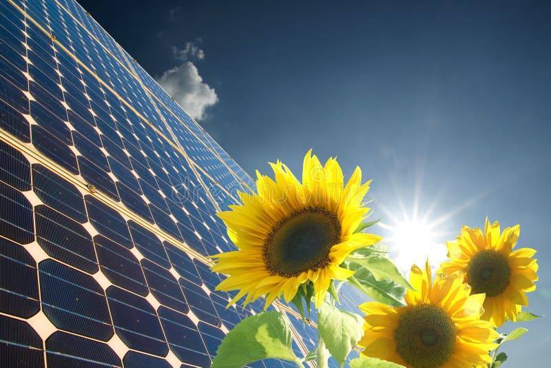 Solar panel and sunflowers stock photo. Image of environment - 13483038