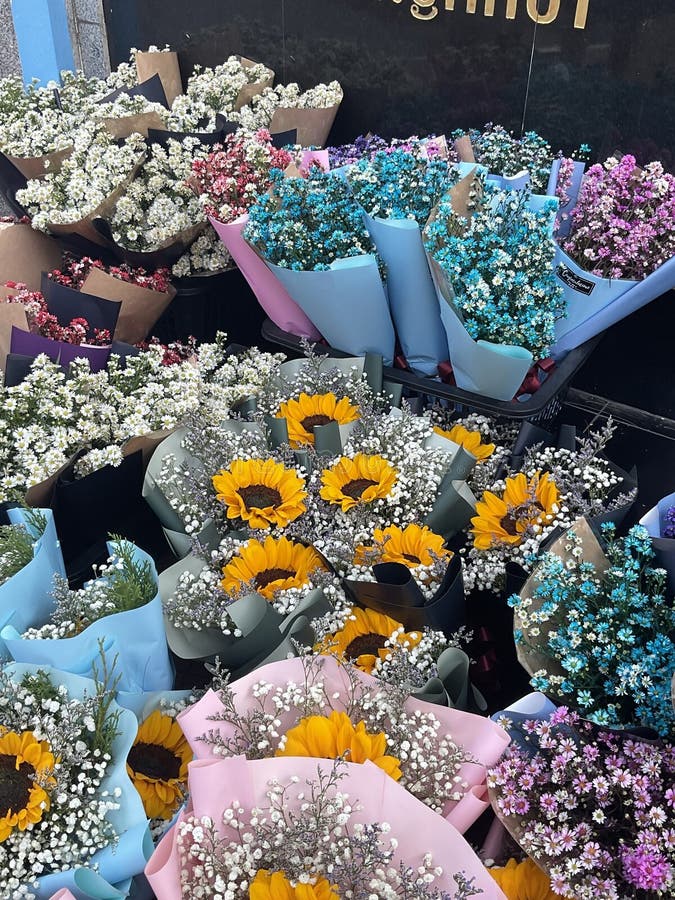 Sunflowers stock image. Image of purple, plant, flower - 273568431