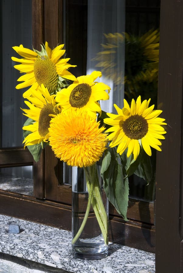 Sunflowers Window Detail In El Capricho Stock Photo - Image of creature ...