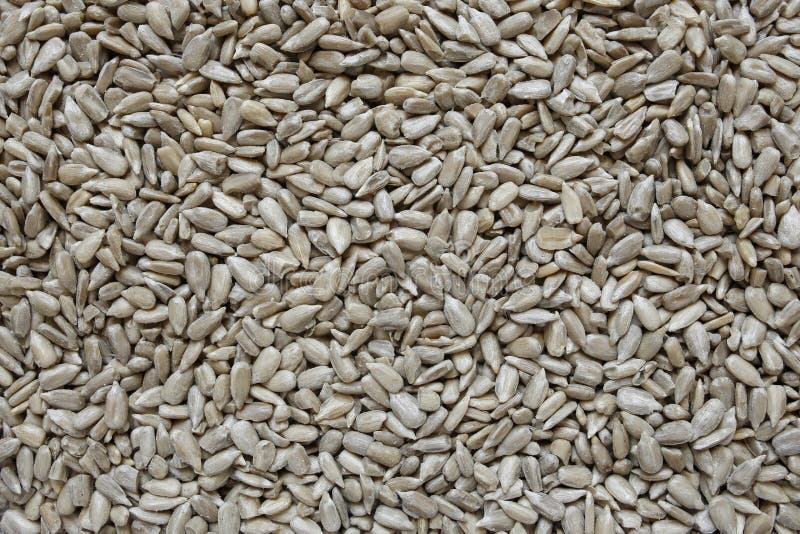 Sunglower Child Stock Photos - Free & Royalty-Free Stock Photos from ...