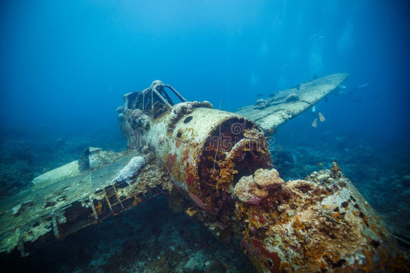 Sunken Plane Resting on the Ocean Floor Stock Photo - Image of ...