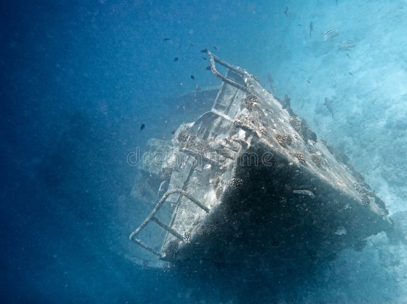 Sunken ship stock photo. Image of shipwreck, history, coral - 3633196