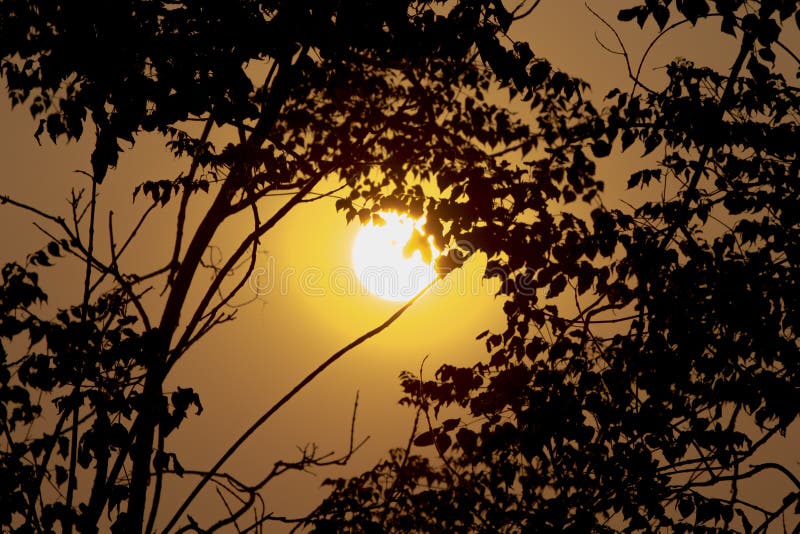 Sun, Shade, Trees in Sunshine Stock Photo - Image of shade, wiht: 159025260