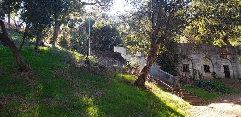 Sunlight amphitheater editorial stock photo. Image of woodland - 212149373