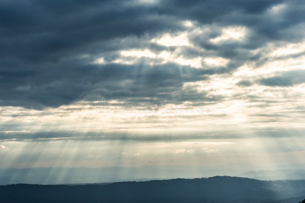 Sunlight beam stock photo. Image of light, faith, forest - 54333270