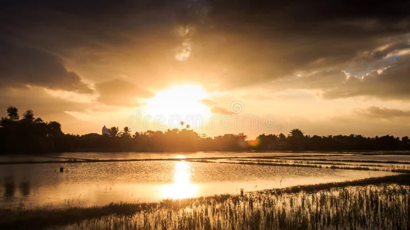 Sunlight from Behind Clouds Over Water Rice Fields at Sunset Stock ...