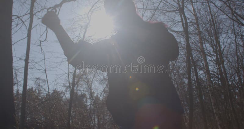 Sunlight in Branches Trees. Close-up Hands and Head Girl Shadow Boxing ...