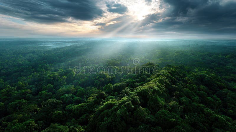 Sunlight Breaking through Clouds Over Amazon Rainforest Canopy Stock Photo - Image of lush ...