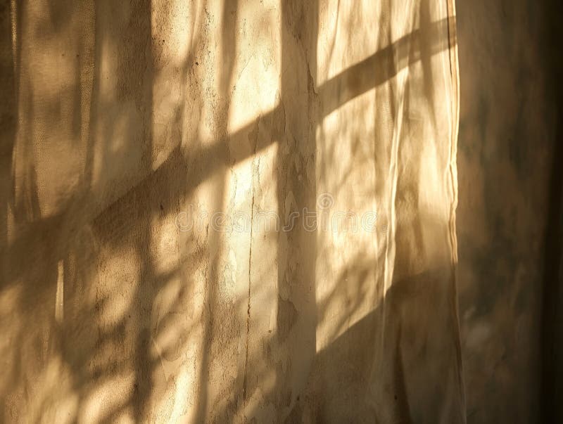 Sunlight Casting Shadows on a Textured Wall Stock Image - Image of ...