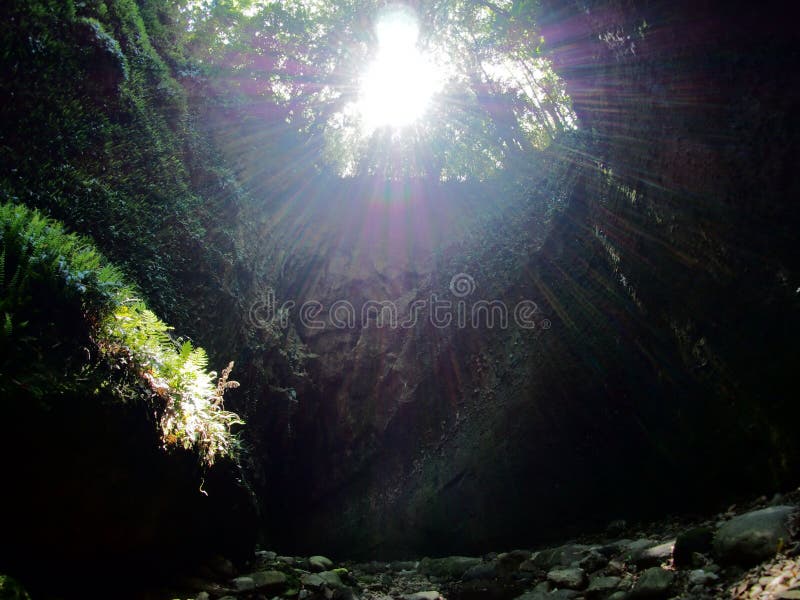 Sunlight into the cave stock image. Image of green, japan - 98224037
