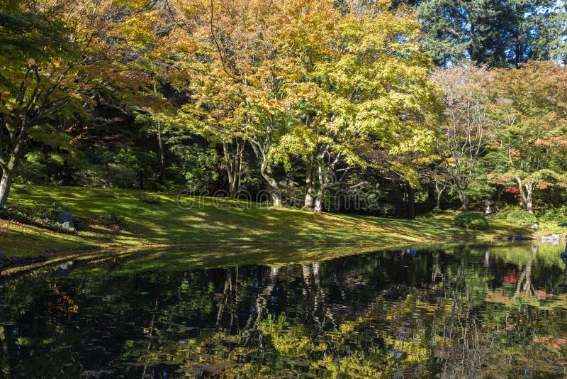 Sunlight Colored Leaves in a Zen Garden Stock Photo - Image of leaves ...