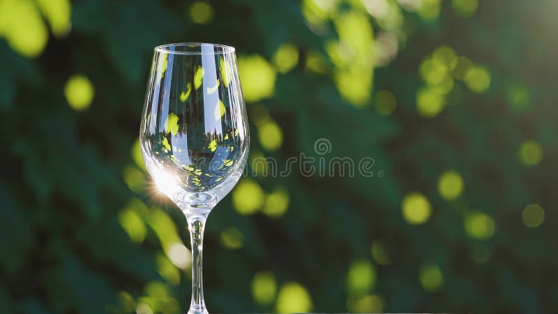 Soft Sunlight Casting Golden Reflections through Crystal Wine Glass ...