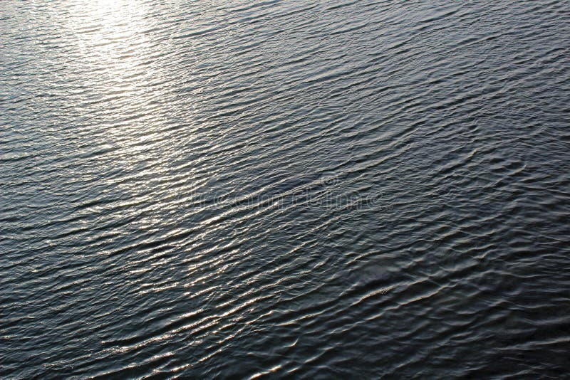 Sunlight Reflects Off the Water Stock Image - Image of nature, light ...