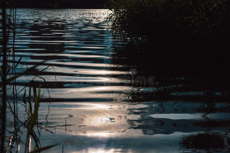 Sunlight Dances Across the Water S Surface, a Tranquil and Serene Scene ...
