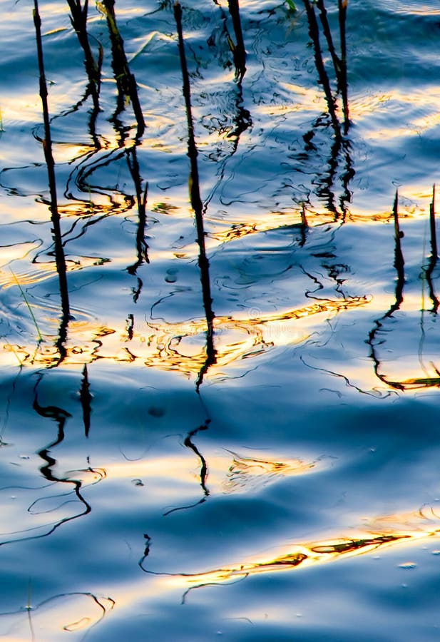 Sunlight Dances on Colorful Water at Dawn Stock Photo - Image of ...