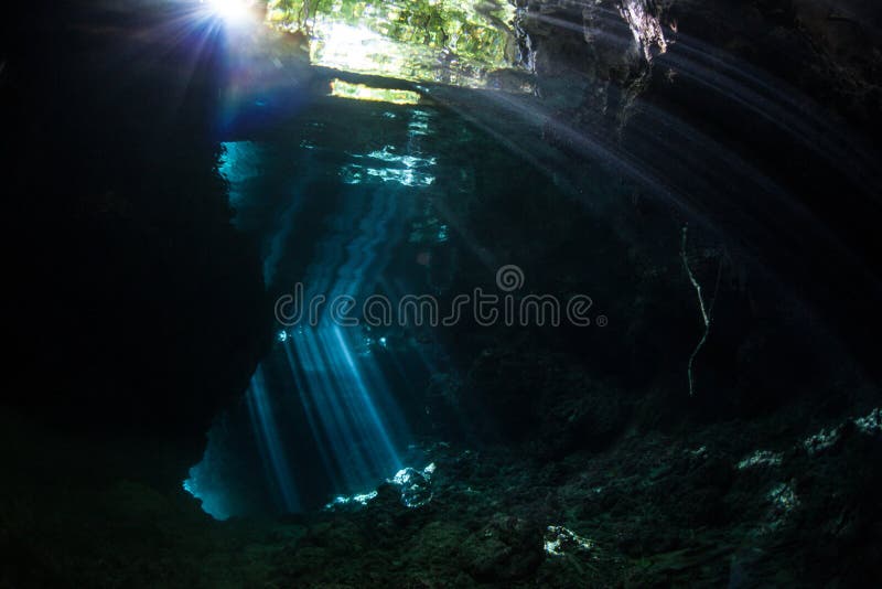 Sunlight and Dark, Underwater Grotto Stock Photo - Image of life ...